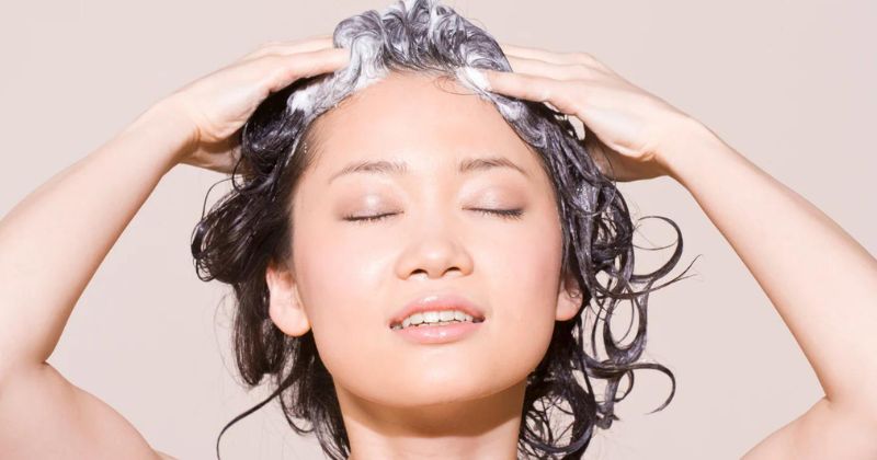 How To Know Which Shampoo Suits Your Hair? – Afterthought